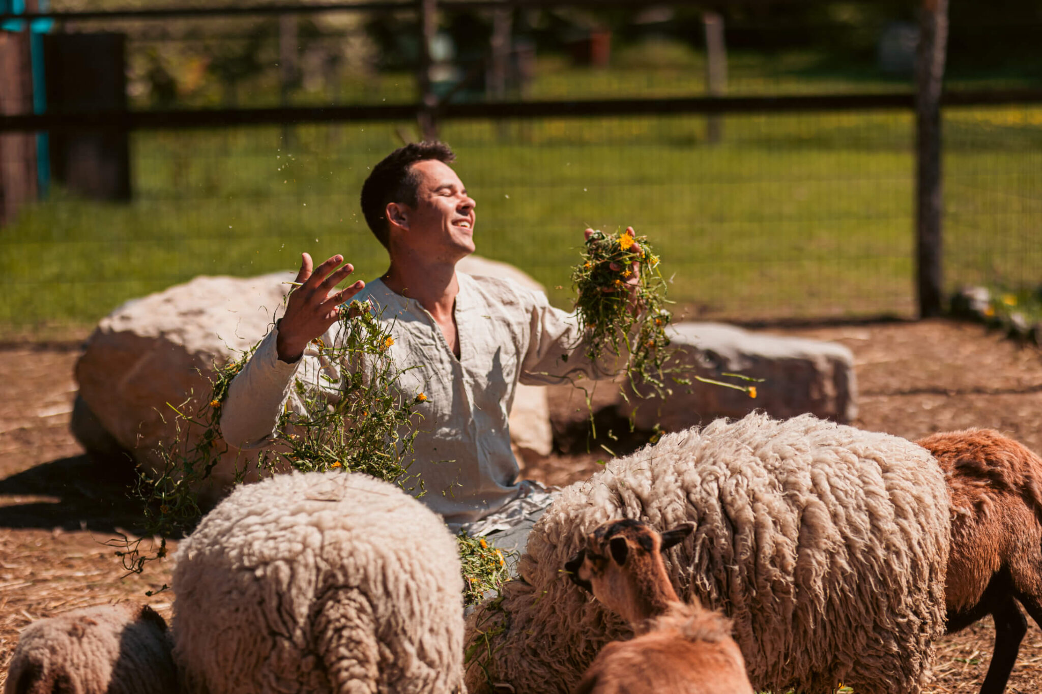 Saaremaa Loomaaed - Ehtne Saaremaa e-pood