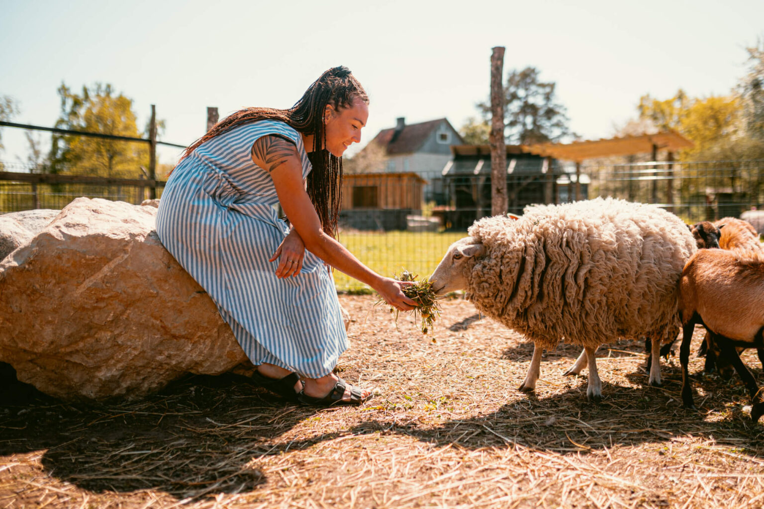 Saaremaa Loomaaed - Ehtne Saaremaa e-pood